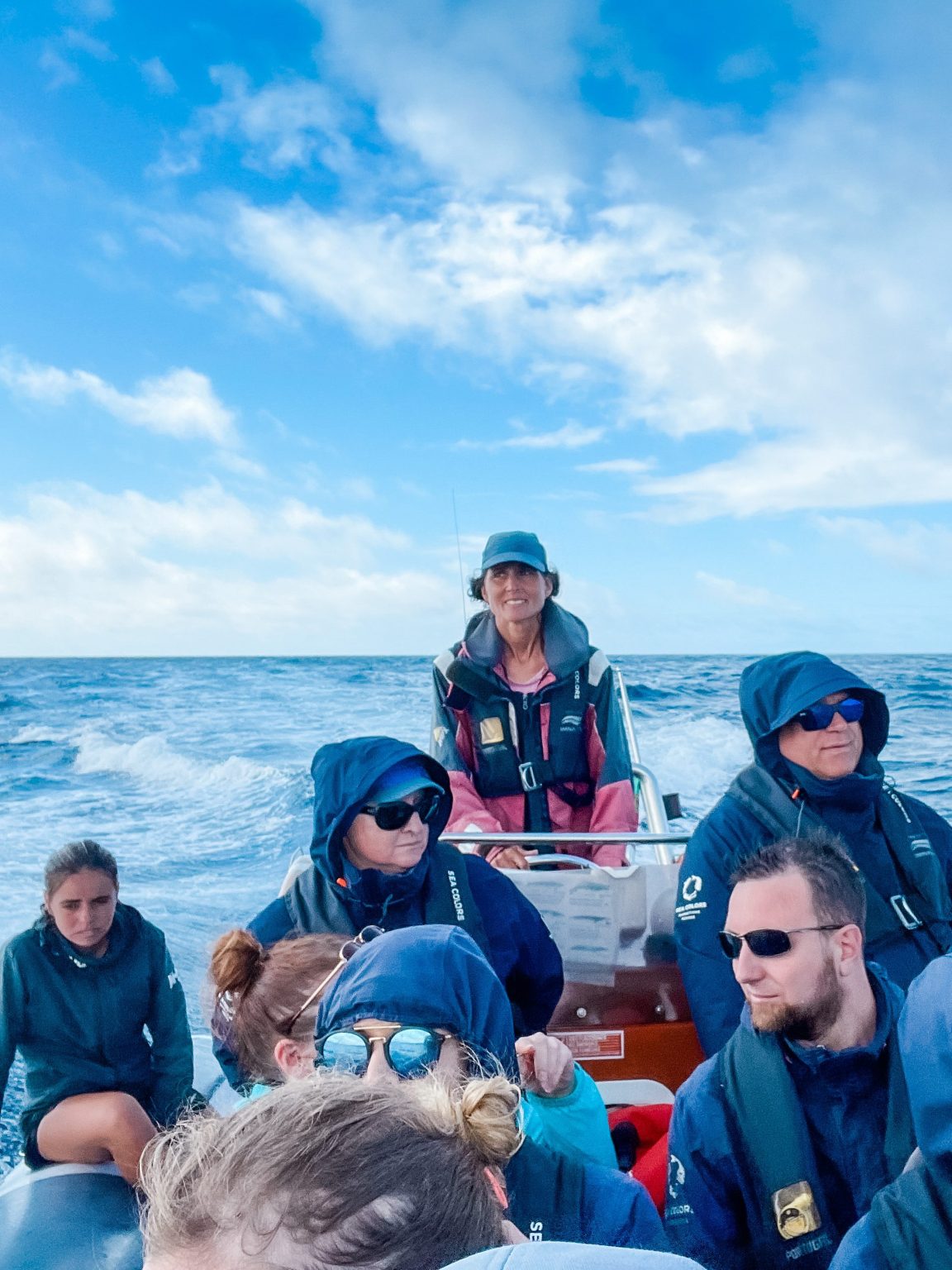 Walvissen spotten Azoren | Zwemmen met dolfijnen | Tips & tickets