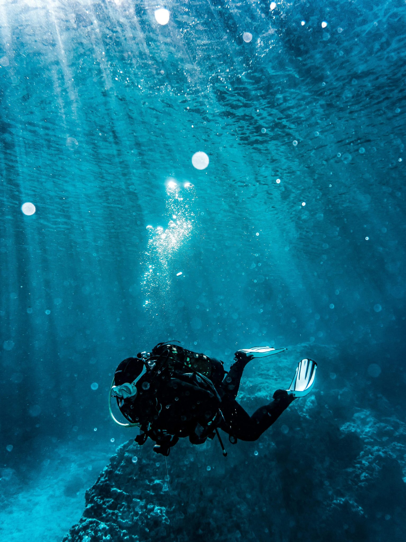 Duiken op de Azoren | Voor gevorderden en beginners | Tips